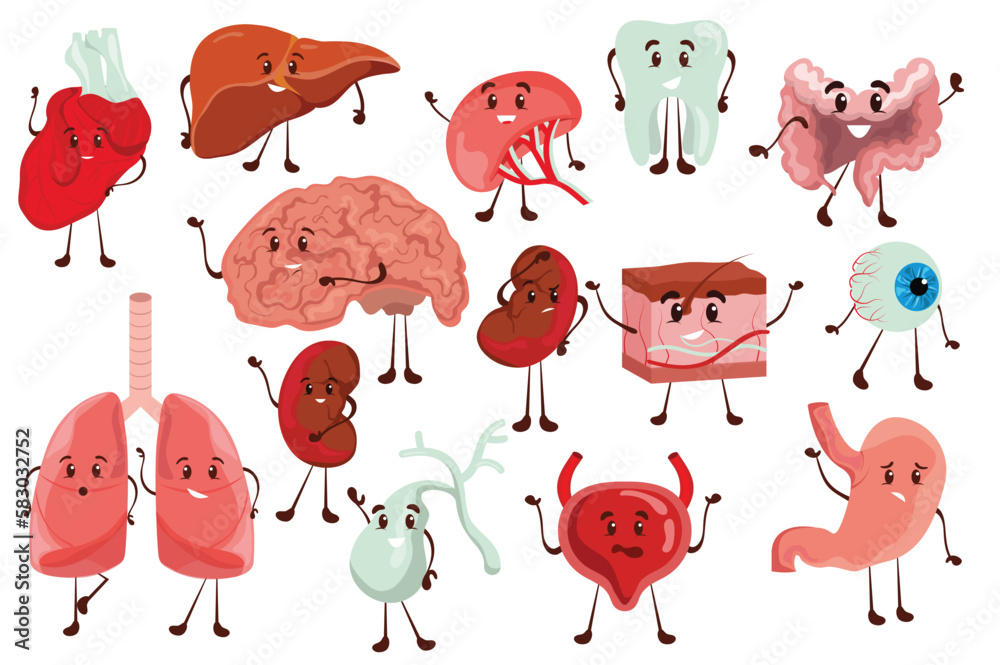 Human organs set concept in the flat cartoon design. Image of many ...