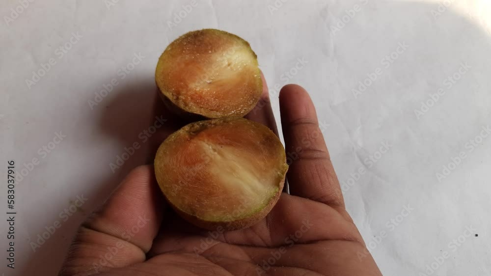 Manilkara zapota fruits. Its other names apodilla fruits, sapote ...