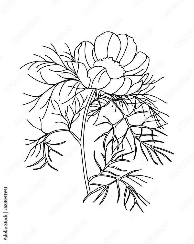 Cosmos October birth month flower line art illustration. Modern ...