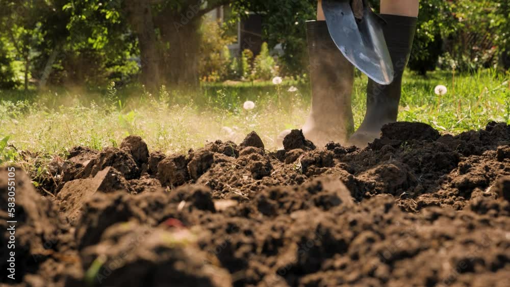 Farmer digging in garden spade soil shovel digging spade grass ...