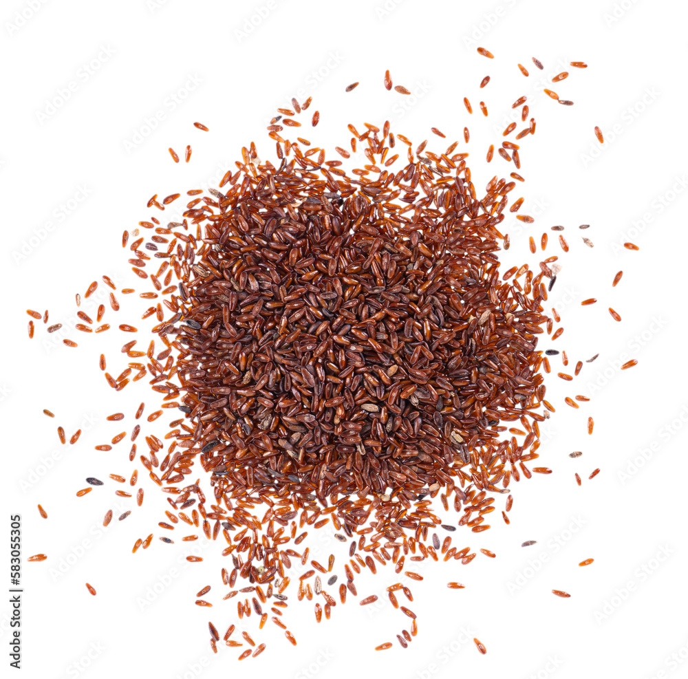 Psyllium seeds isolated on white background. Plantain. Plantago ...