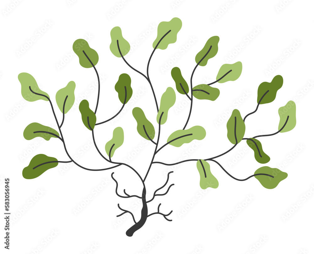 Vector green seaweeds icon. Under the sea illustration with cute ...