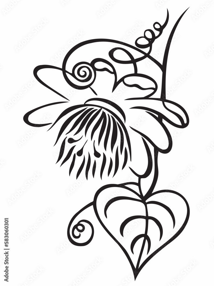 Clematis flower black and white hand drawing logo. Line vector ...