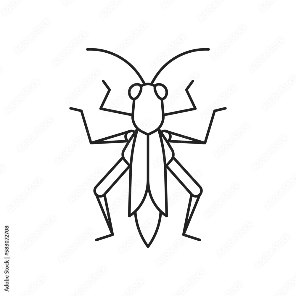 Cricket insect icon. High quality black vector illustration. Stock ...