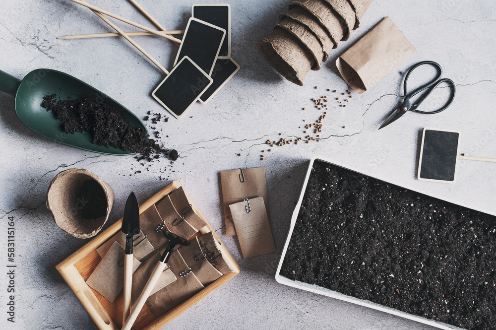 top view of spring seeding process. Tray with soil, paper craft bags ...