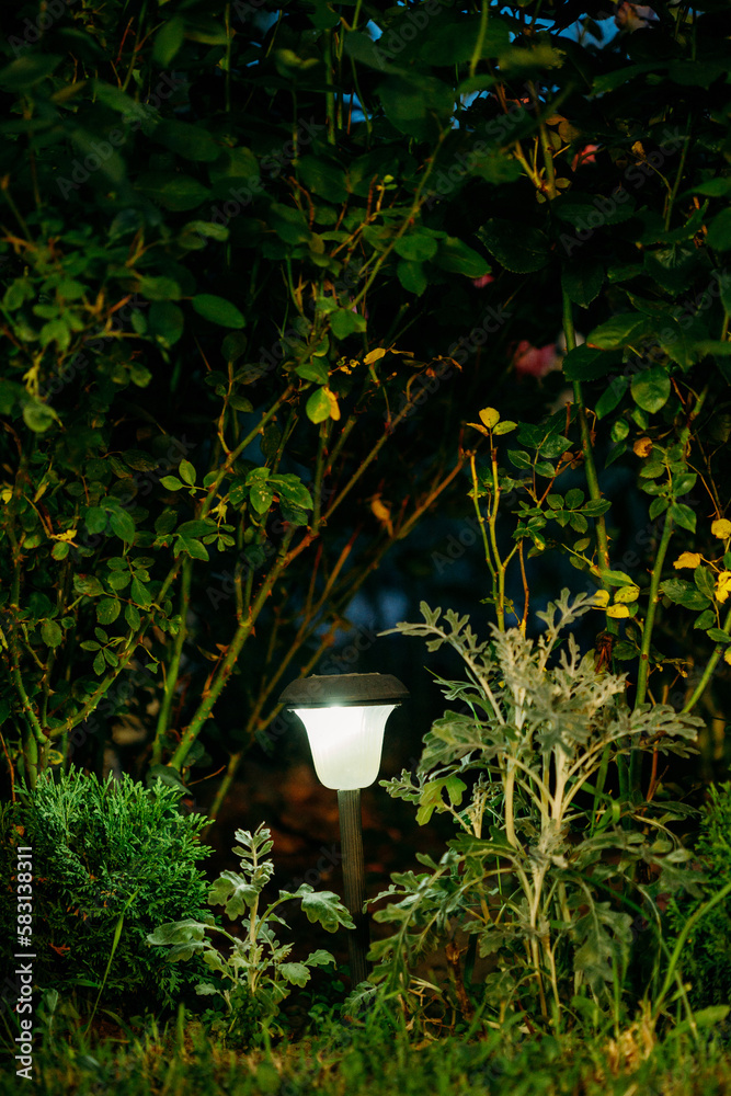 Small Solar Garden Light, Lantern In Flower Bed. Garden Design. Solar ...
