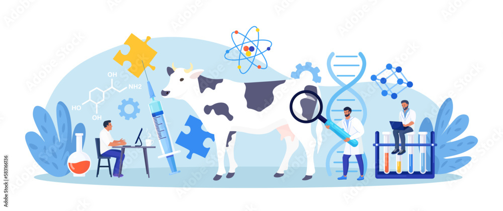 Biology scientists doing research cow dna. Genetically modified animals ...