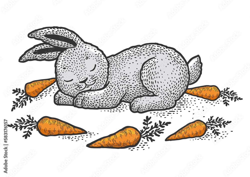 Cartoon sleeping rabbit sketch PNG illustration with transparent ...