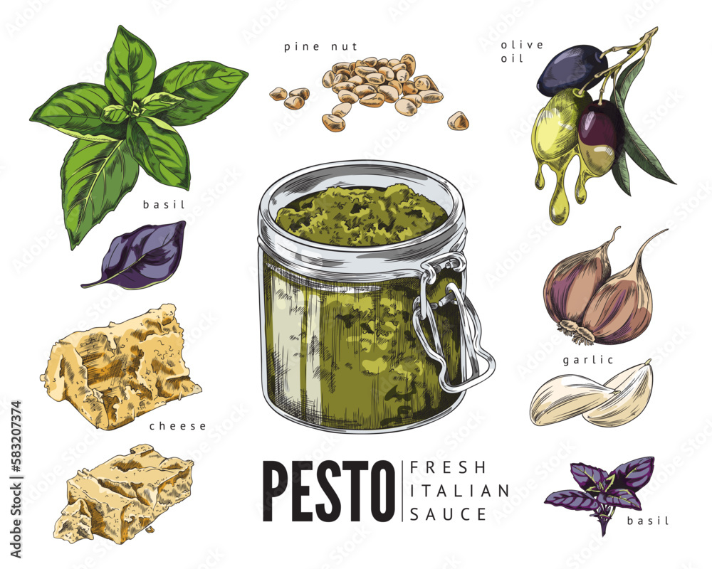 Poster Italian pesto food dressing ingredients sketch vector ...