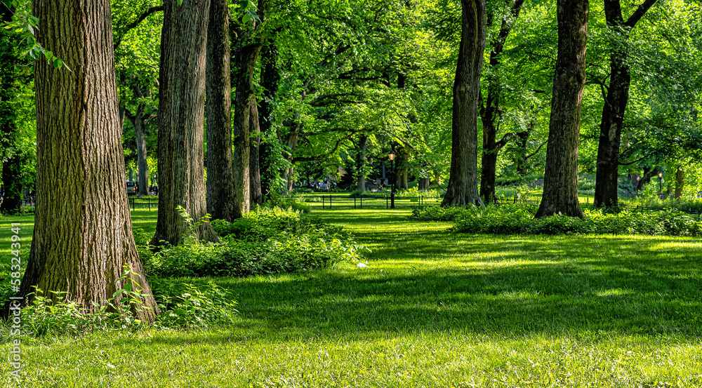 Central Park in spring Stock Photo | Adobe Stock