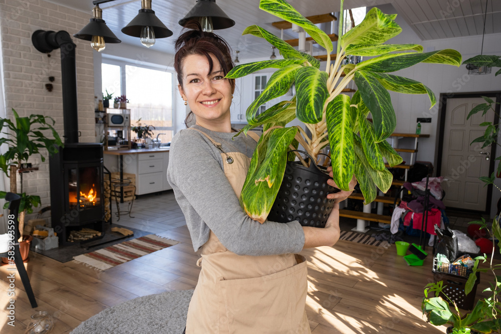 A happy woman in a green house with a potted plant in her hands smiles ...