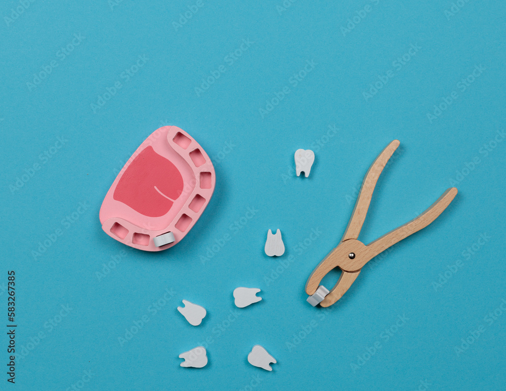 Toy wooden model of the jaw and teeth. Toy dentist set. Top view on a ...