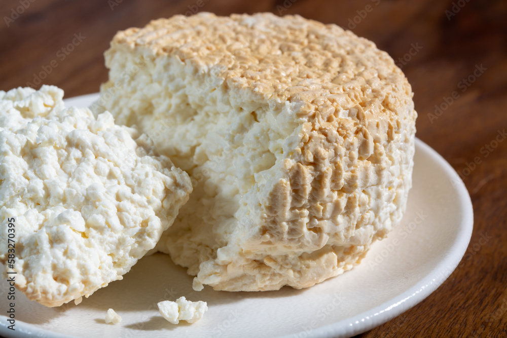 Polish skimmed fresh smoked milk twarog cheese, white cow cheese ...