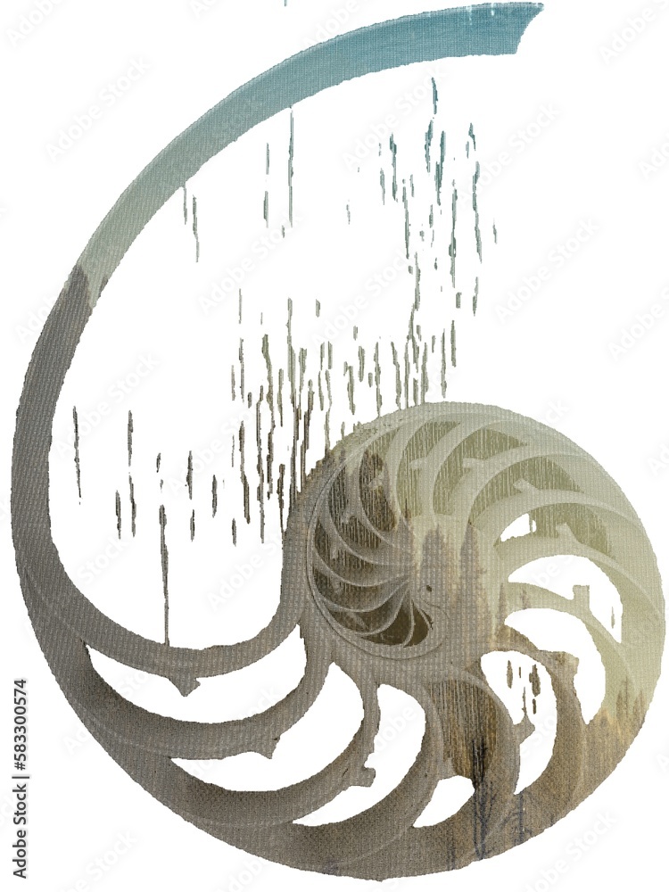 Nautilus shell illustration double exposure with sunset , shell pearl ...