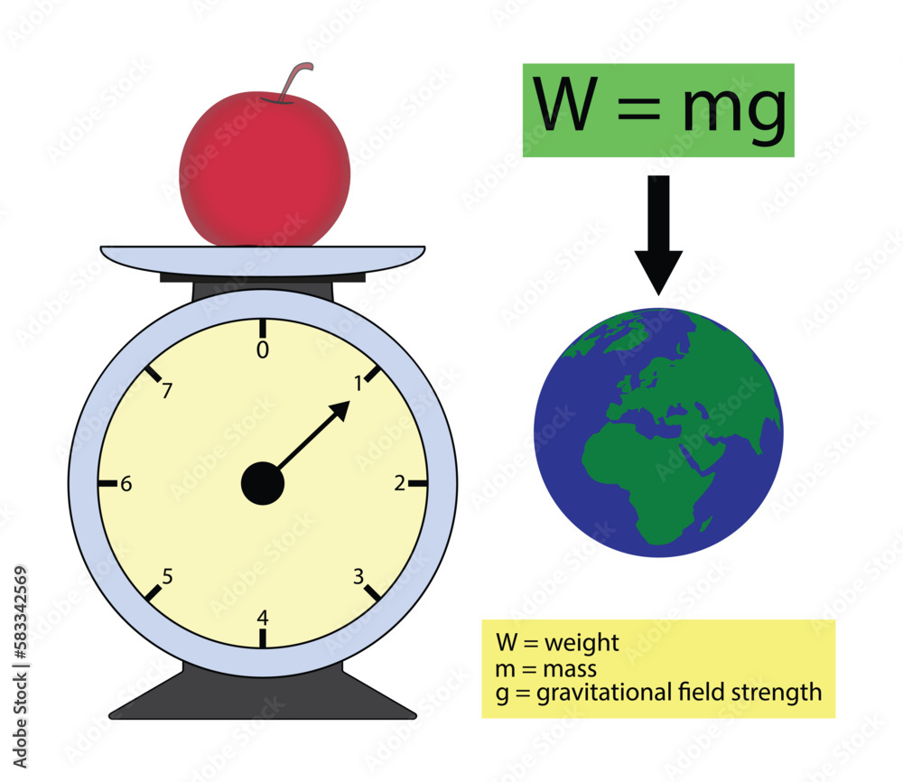 illustration of physics, weight force, Laws of Motion, Weight Formula ... illustration of physics, weight force, Laws of Motion, Weight Formula ...