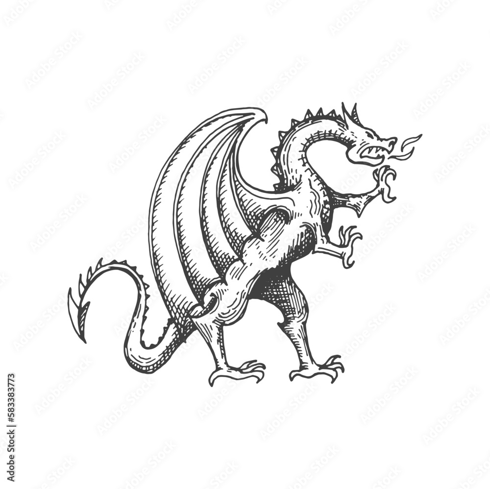 Dragon medieval heraldic animal monster sketch. Legend creature ...