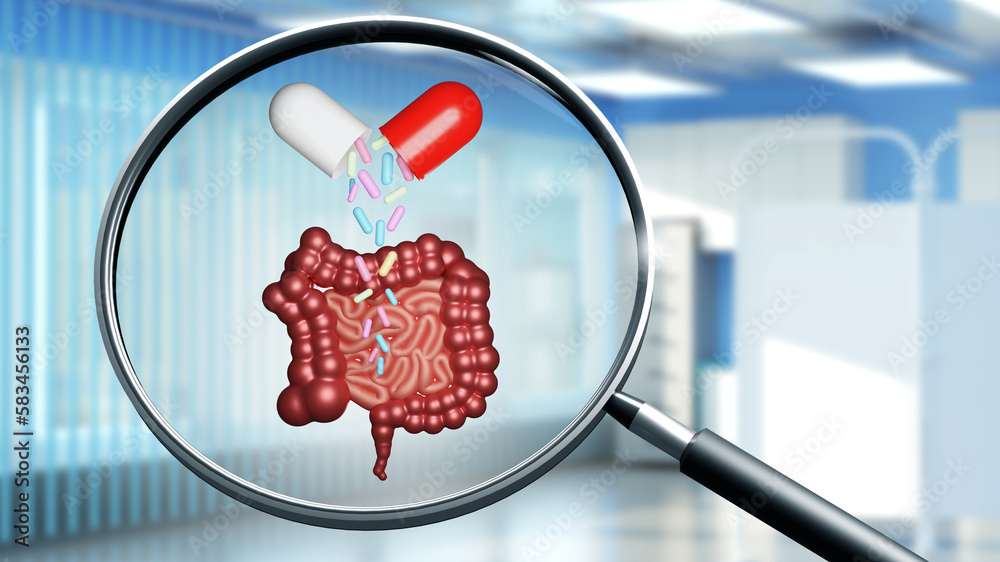 Vitamins for digestive system. Intestines under magnifying glass. Using ...