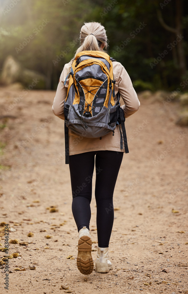 Girl hiking, back view or woman in nature, forest or wilderness for a ...