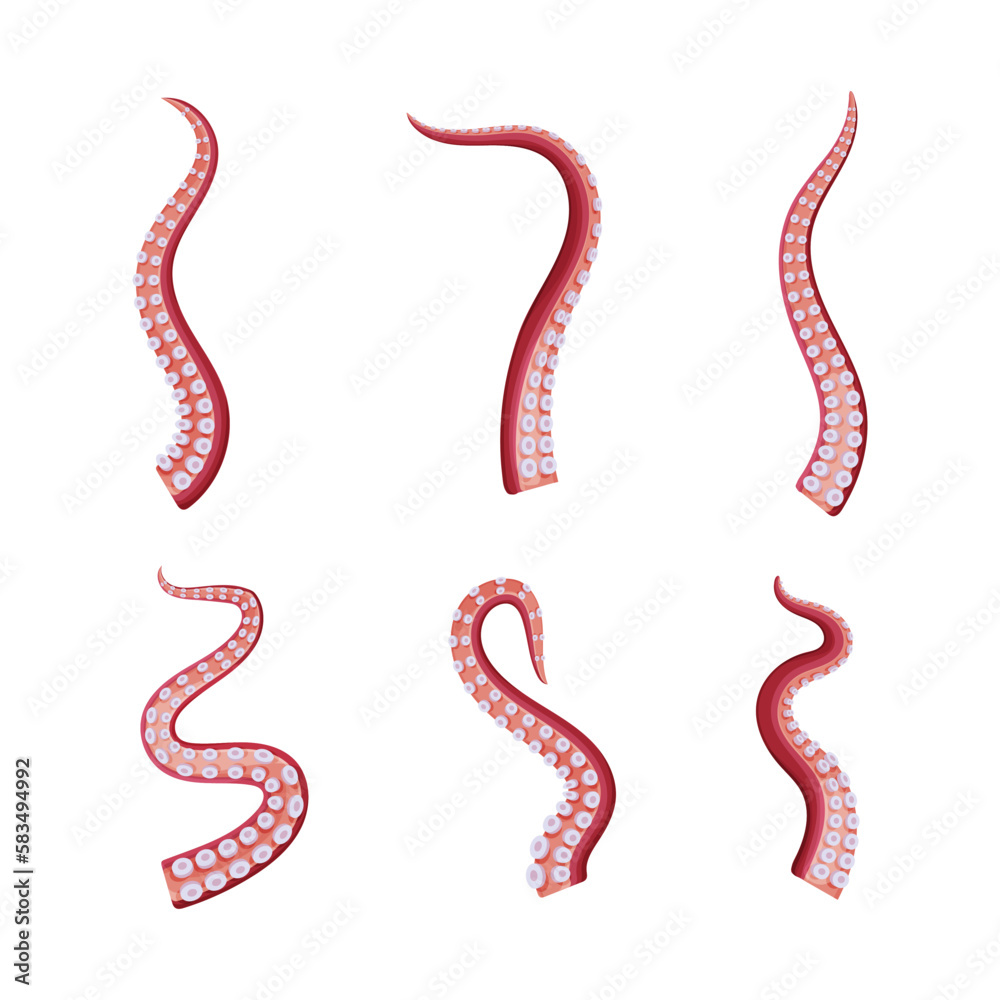 Octopus Tentacle as Part of Sea Animal Vector Set Stock Vector | Adobe ...