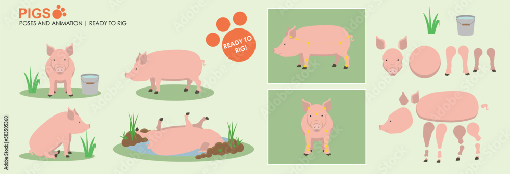 Pig vector character ready for animation and to rig. Farm animal ...