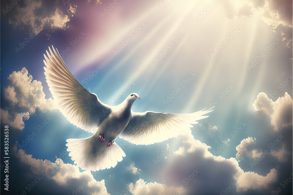 flying dove bird symbol of peace and freedom with glowing rays ...