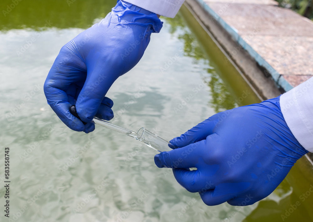 Water sample. Bacterial control of pool water. Checking the amount of ...