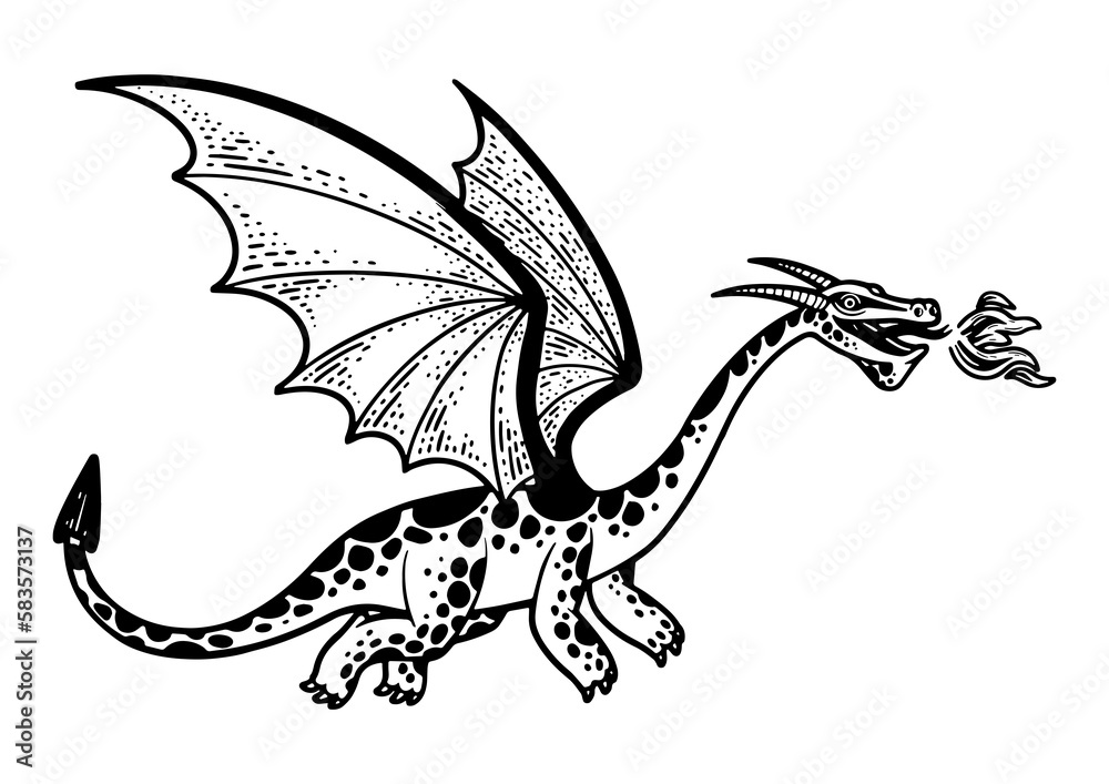 Dragon sketch PNG illustration with transparent background Stock ...