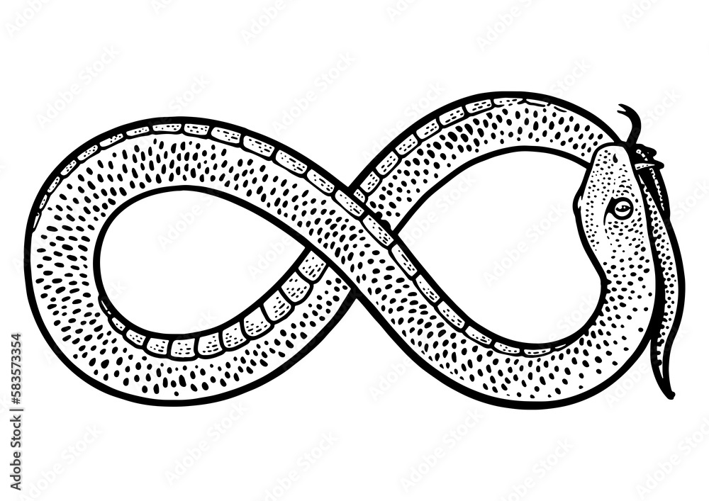 snake infinity sign sketch PNG illustration with transparent background ...