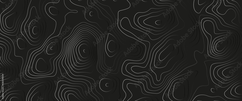 Background of the topographic map. Elevation contouring outline ...