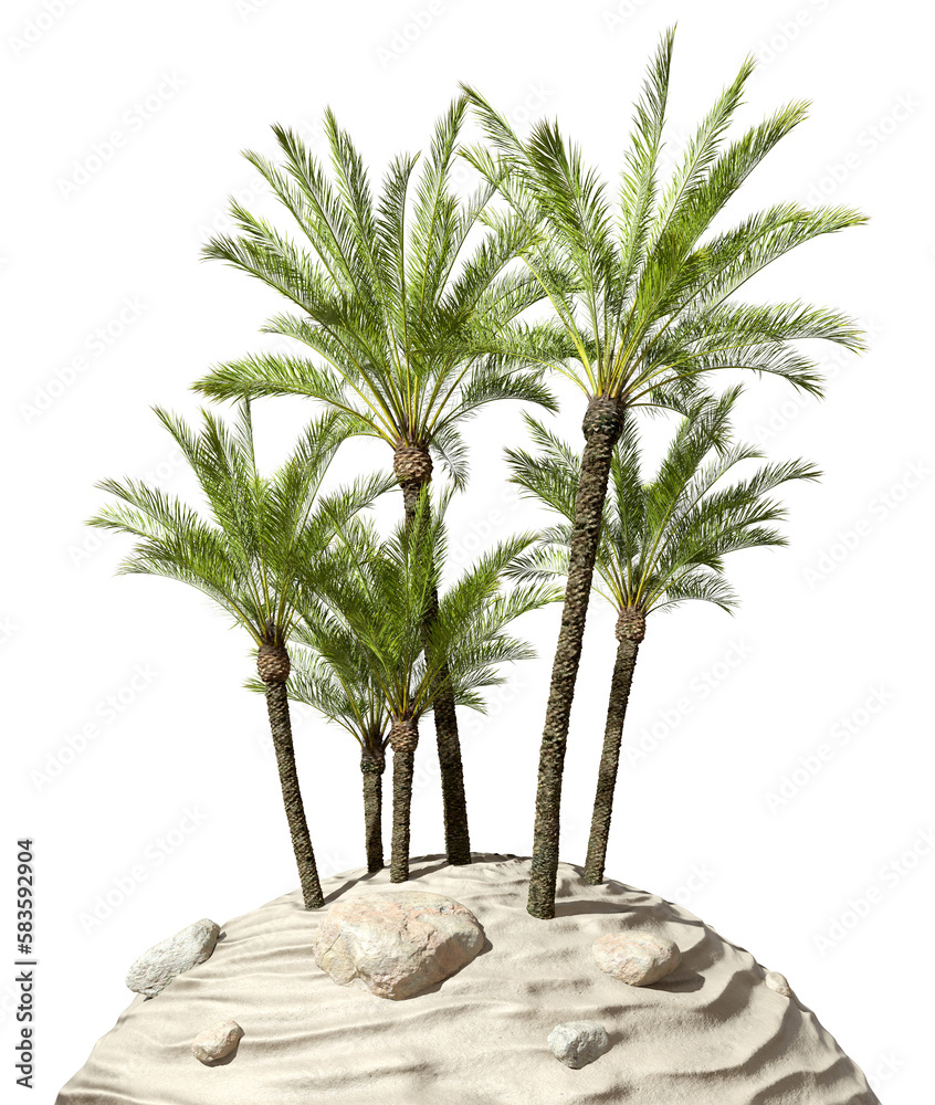 Conceptual realistic palm trees group on desert cutout backgrounds 3d ...