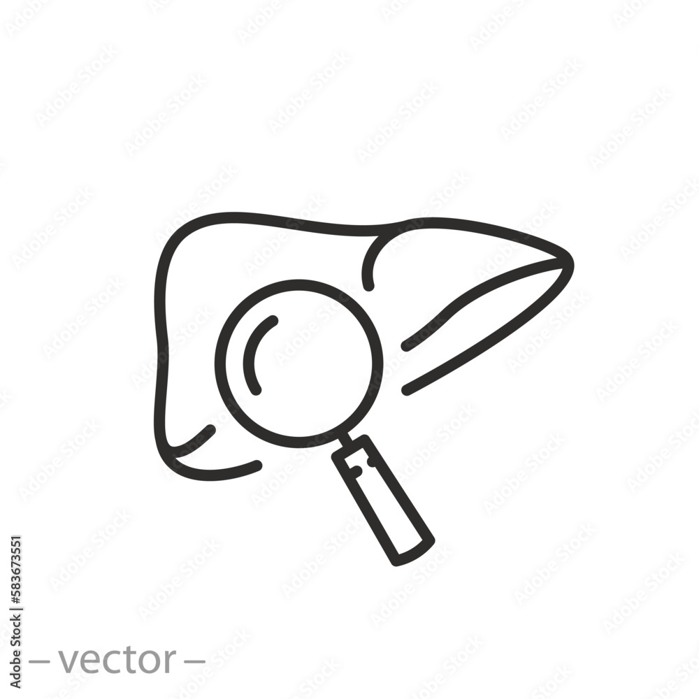 liver diagnosis icon, digestive organ examination, thin line symbol on ...