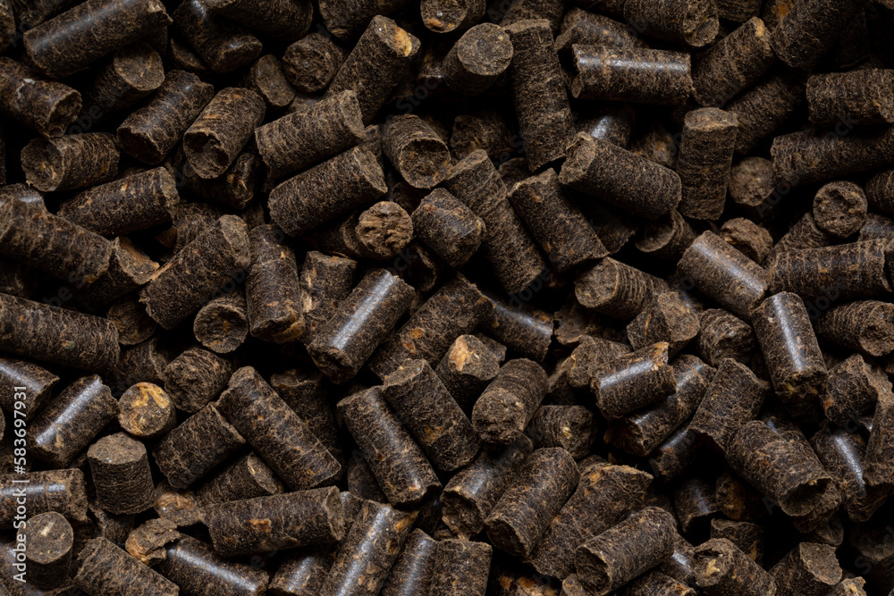 Biofertilizer, organic farming. Organic granular fertilizer from ...