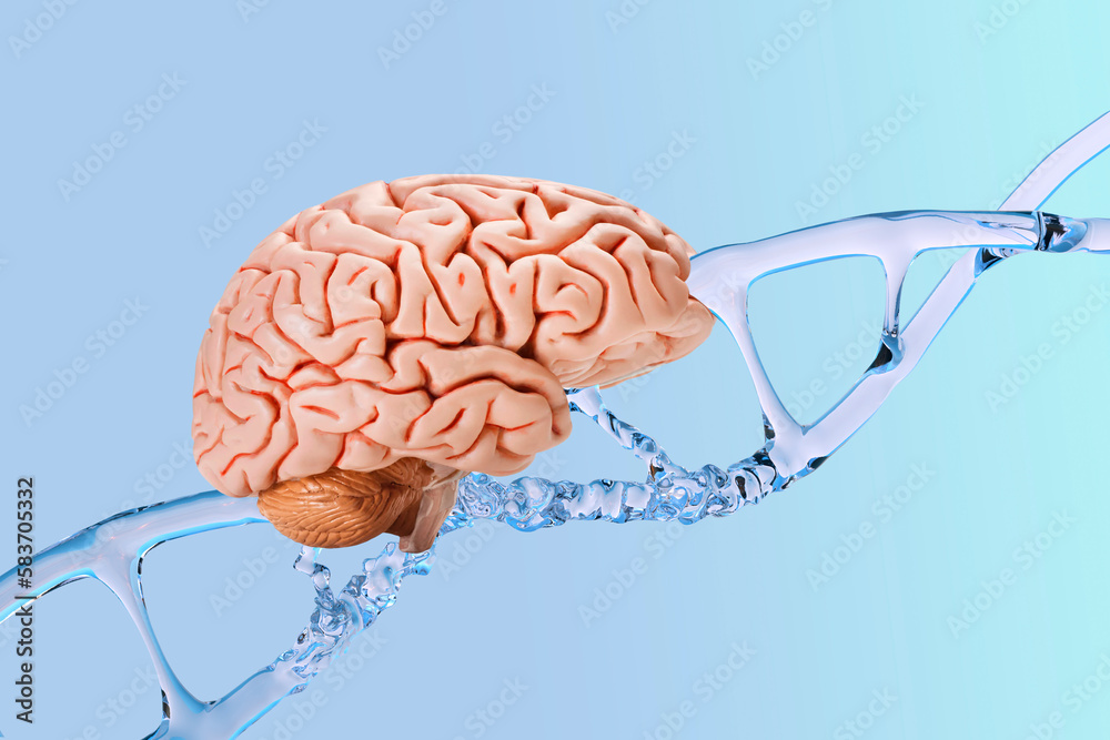 human brain, dna structure with glass helix on blue background ...