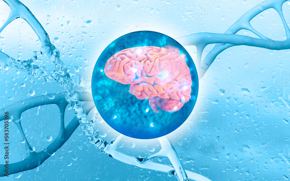 human brain, dna structure with glass helix on blue background ...