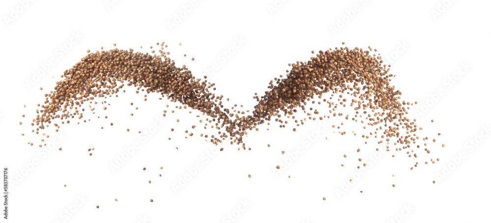 Coriander seed fly explosion, brown coriander seed float explode ...