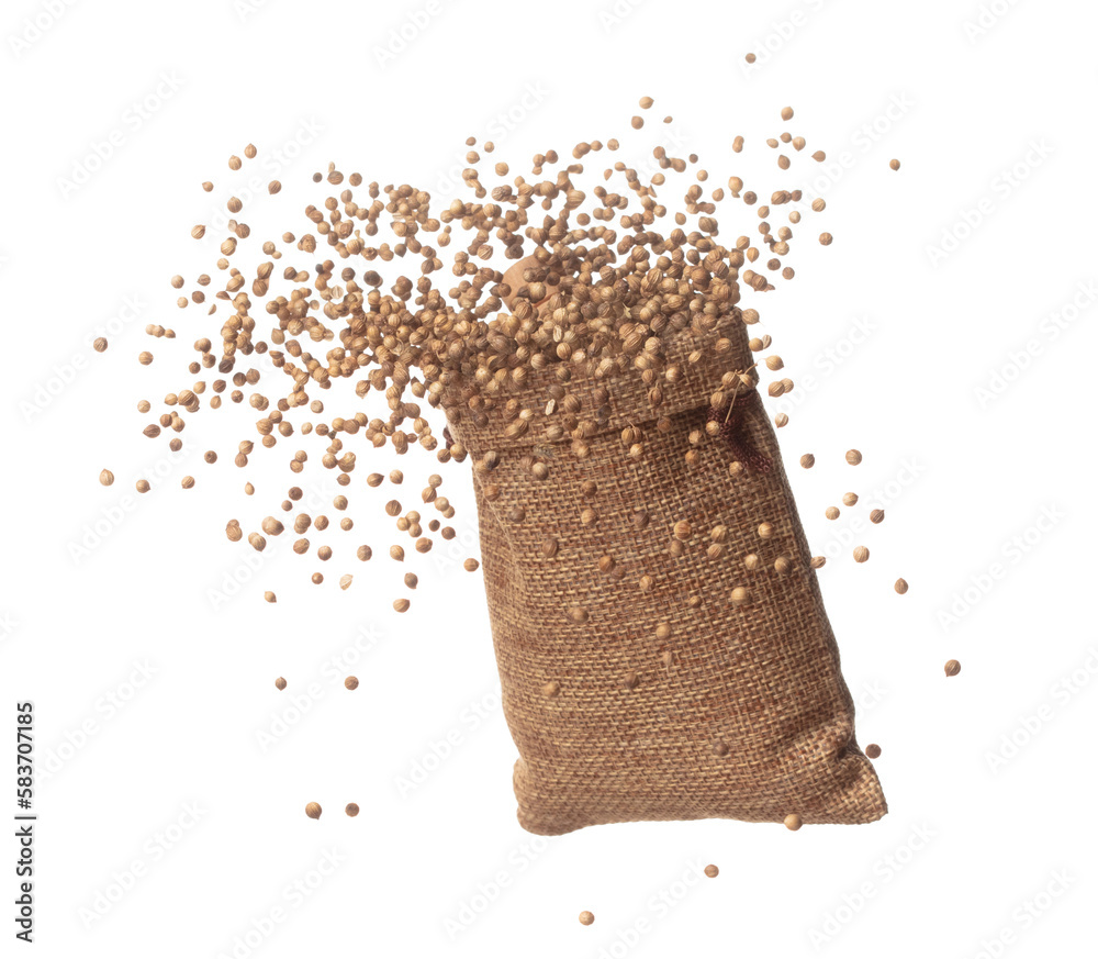 Coriander seed fly throw up in Sack Bag, brown coriander seed float ...