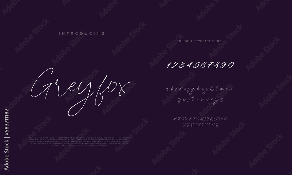 Handwritten Script font. Hand drawn brush style modern calligraphy ...