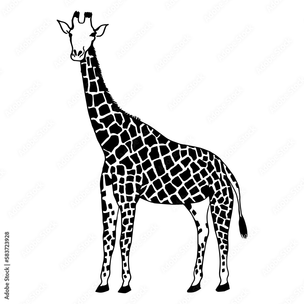 Abstract, minimalistic sketch of a giraffe with simple lines. Ideal ...