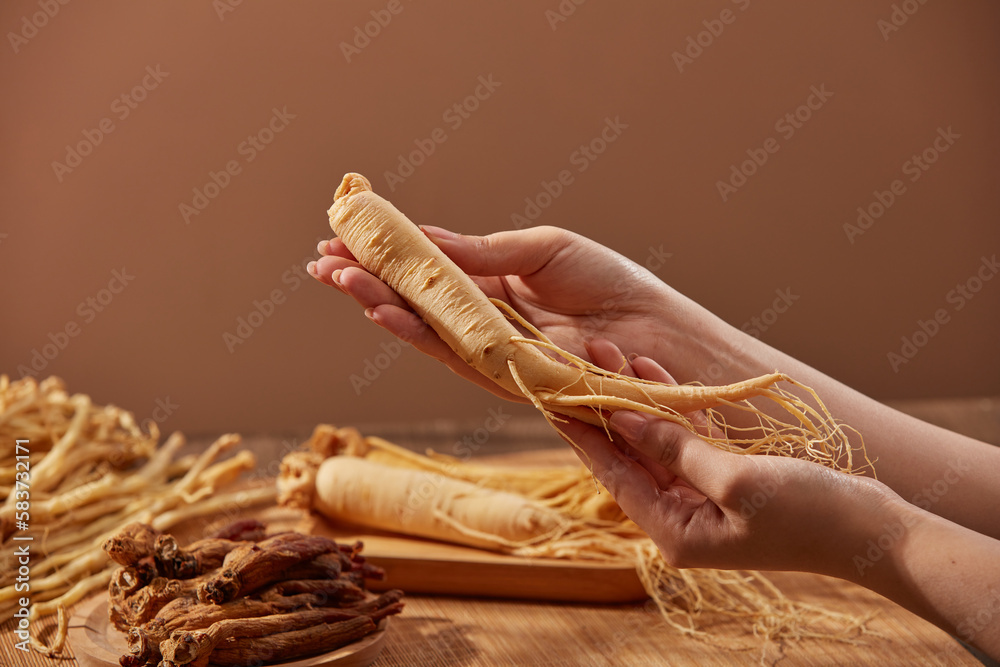 Image of female hand holding ginseng root on brown background with ...