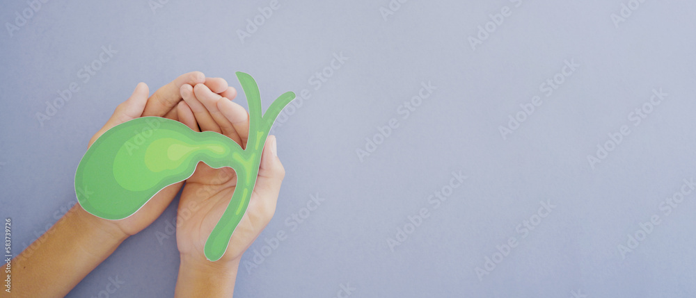 Hands holding bile duct paper cutout, bile duct obstruction, world ...
