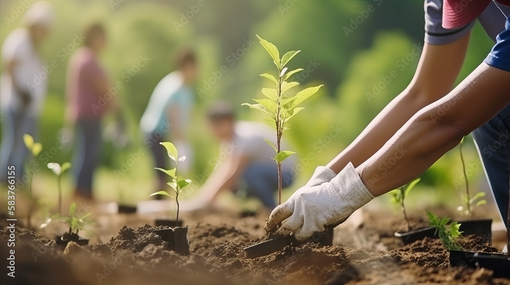 ?People planting trees or working in community gardens to promote local ...