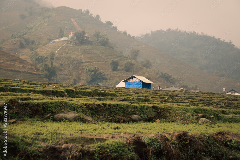 An old cottage in the middle of a rice terraces field in Ha giang ...