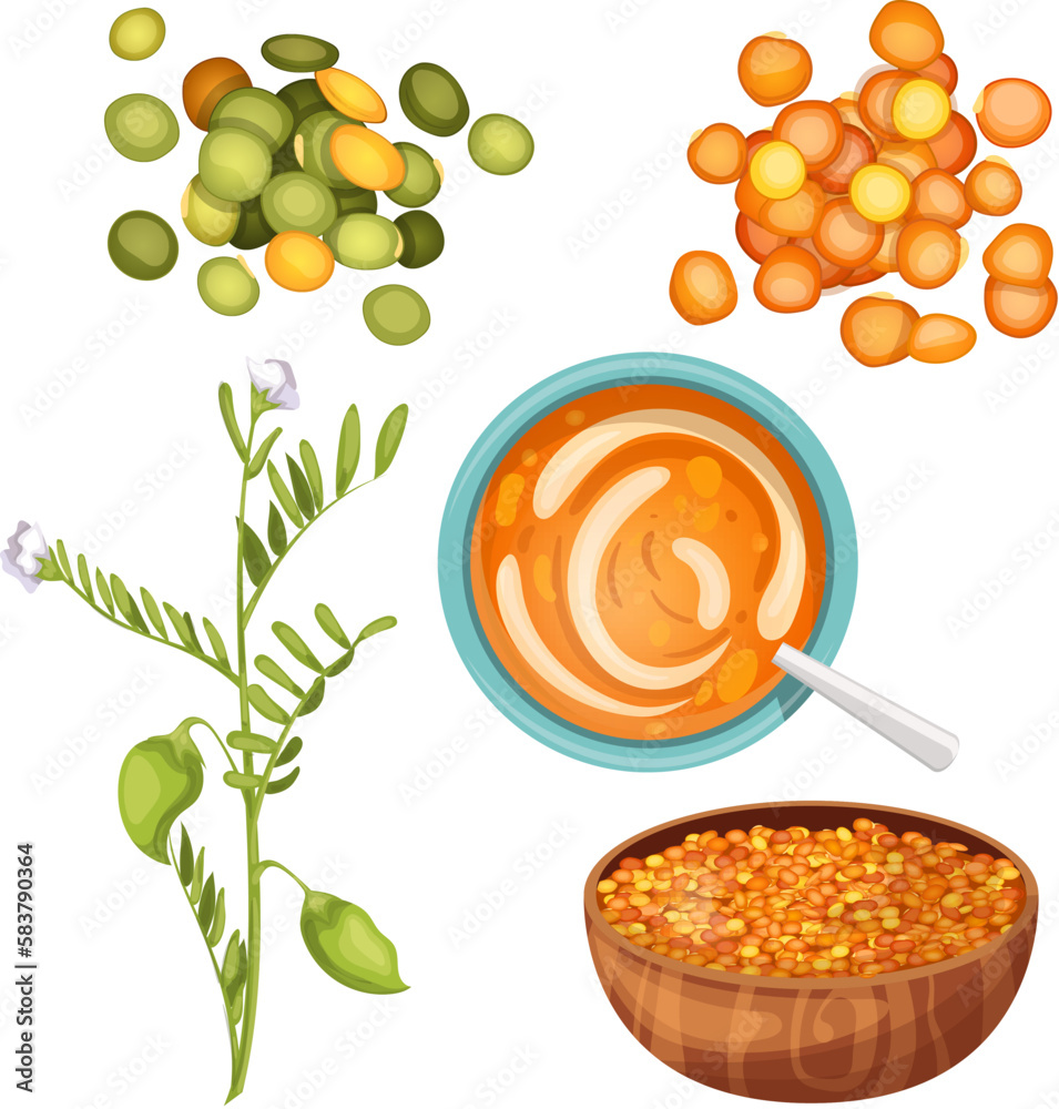 Poster lentils food healthy set cartoon vector illustration – Wall Art ...