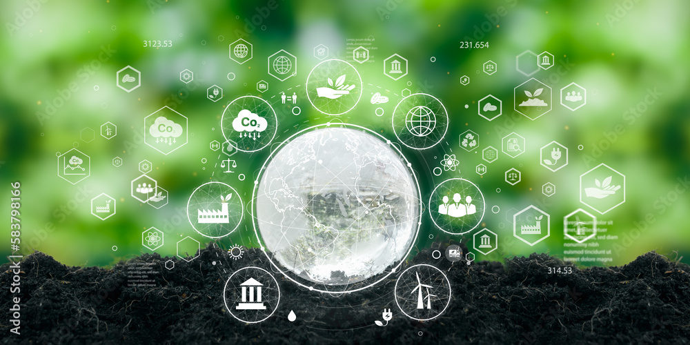 green environment concept net zero and carbon neutral net zero emission ...