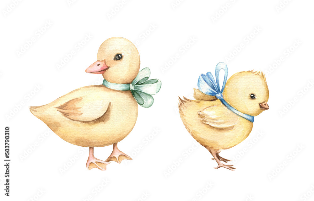 Cute yellow duckling and chicken with bows on the neck. Watercolor hand ...