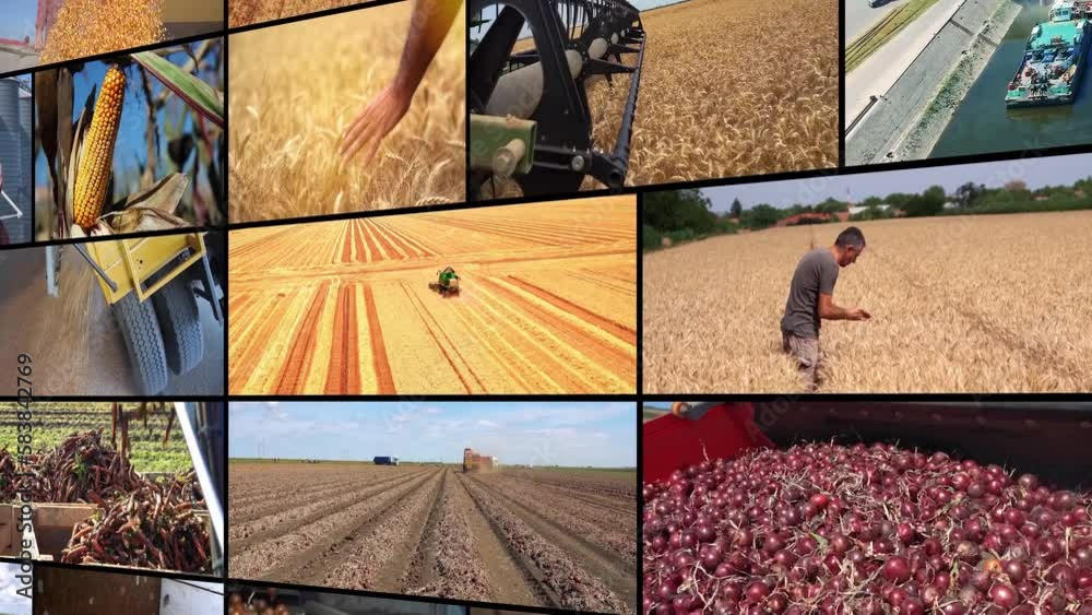 Agricultural Production and Global Agri-Food Trade. Cereal Grain ...
