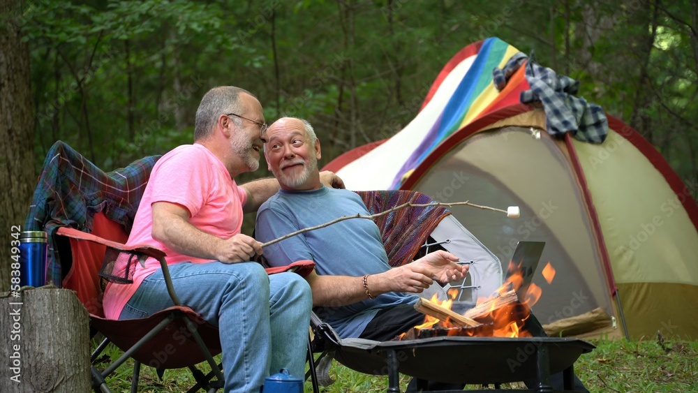 Two gay men with pride flag on tent talking to laptop on video chat ...