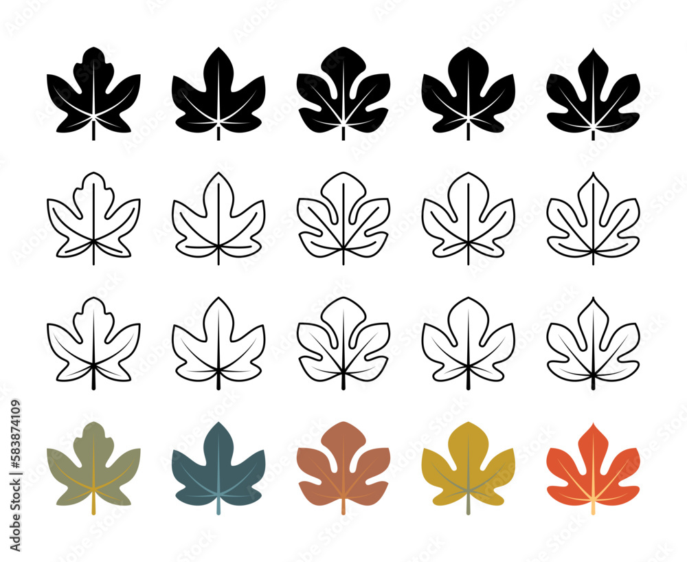 Fig tree leaf vector icons. Isolated fig leaf icon collection for ...