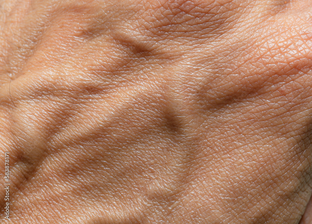 Macro human hand skin,Macro human hand texture,The texture of the skin ...