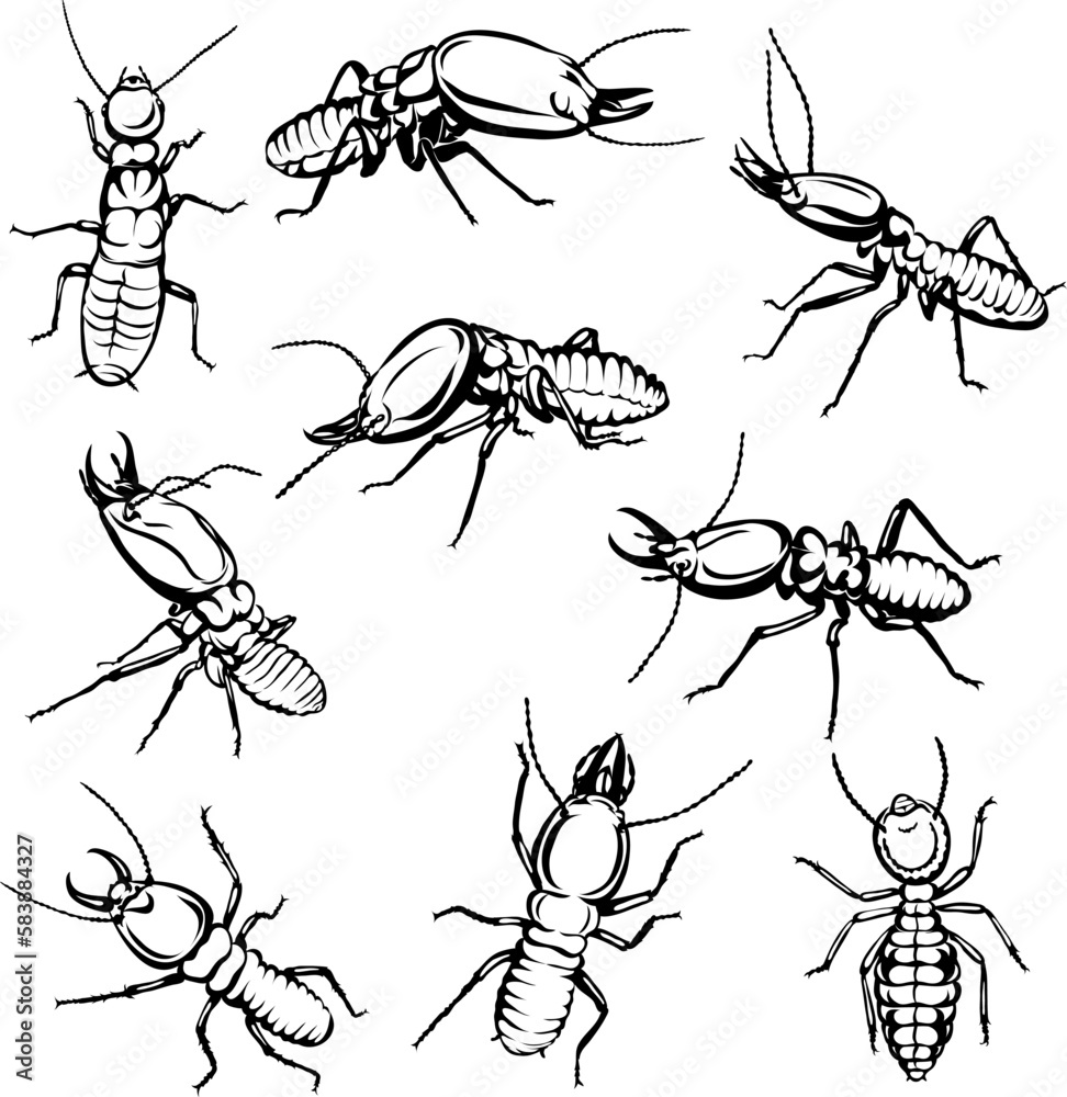 termite, insect, crawling, black, vector, drawing, silhouette, eyes ...